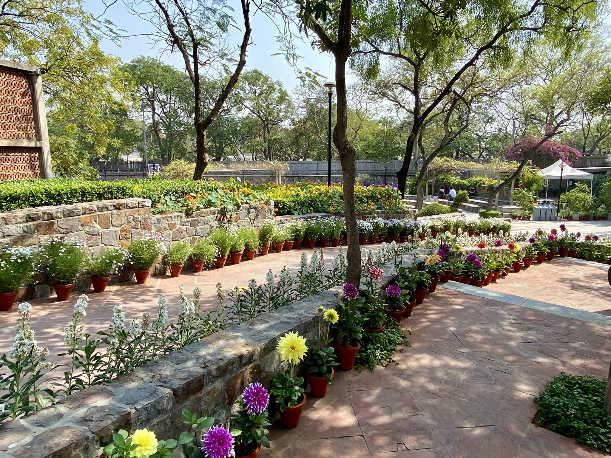 Afaq International School